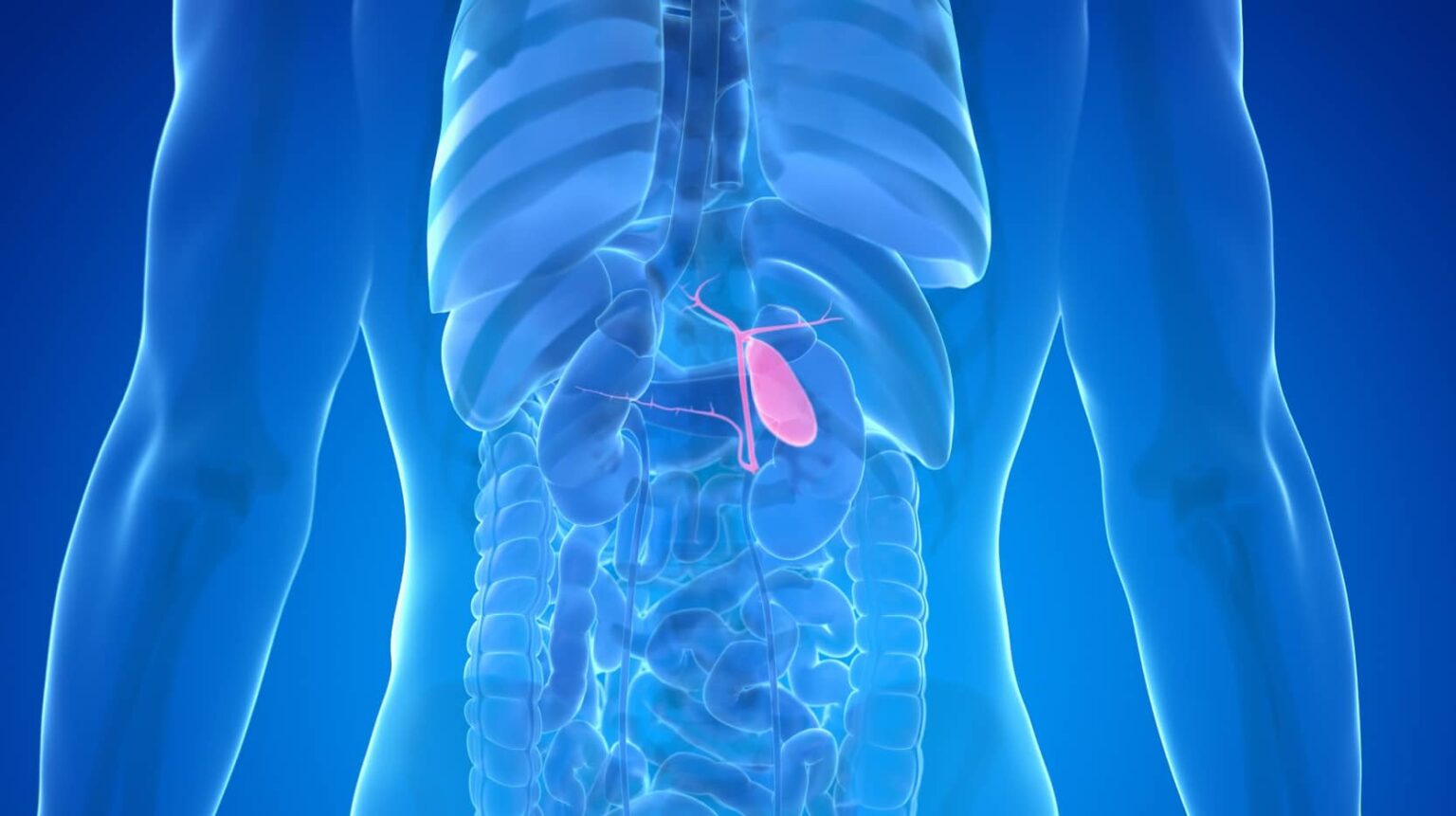 Quand se faire opérer de la vésicule biliaire ?| Dr Servajean | Paris