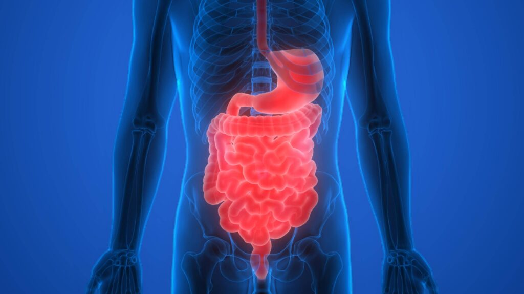 Quand consulter un proctologue ? | Dr Servajean | Paris